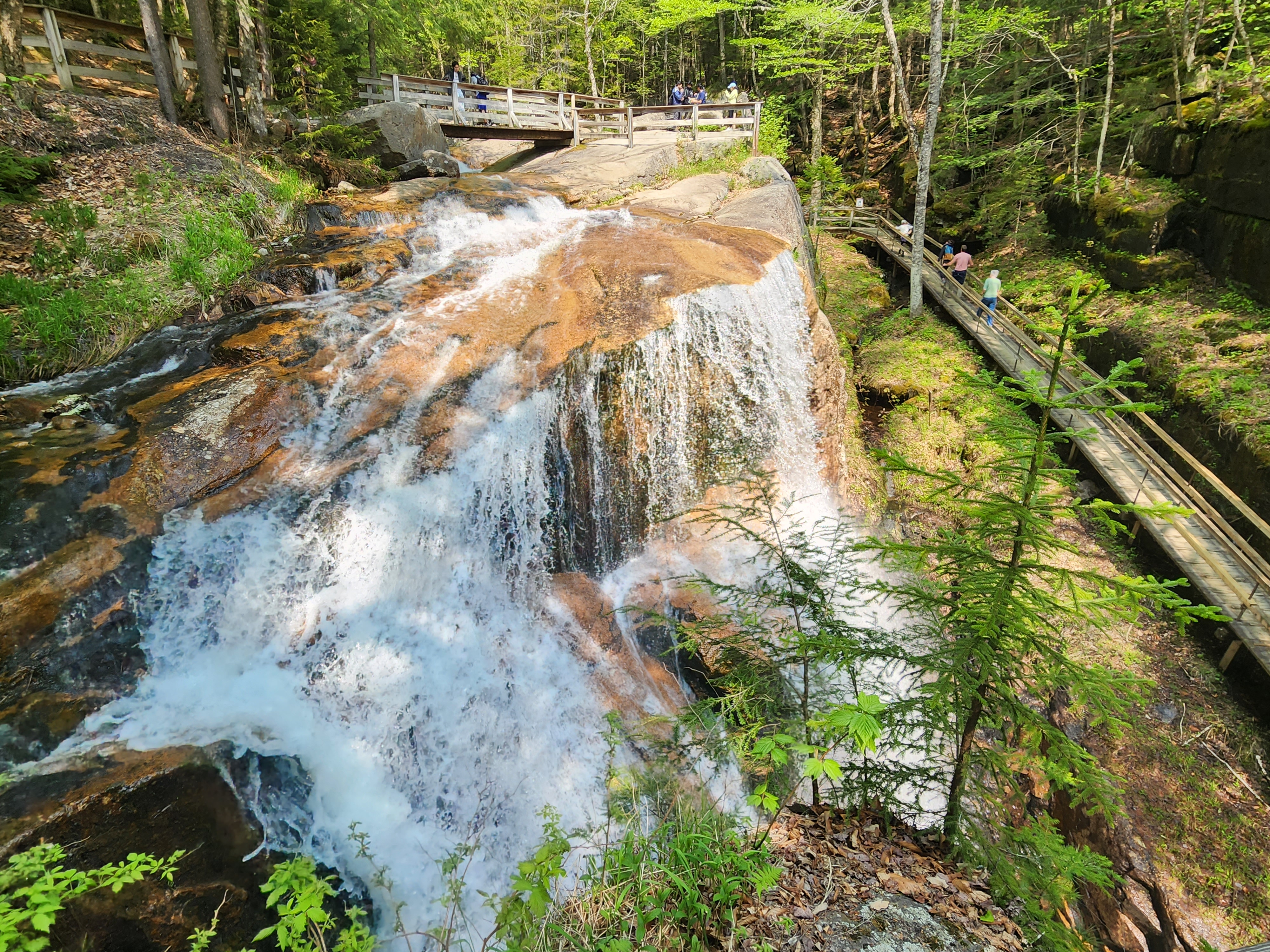 Flume Gorge & Basin Cascade Hike