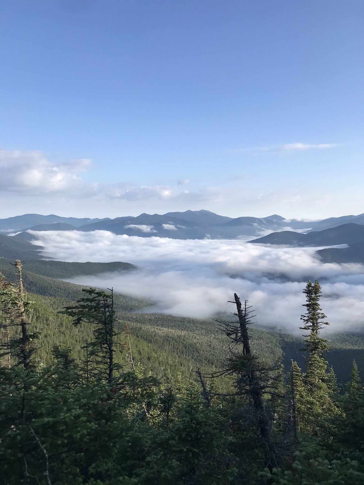 Timber Camp - Fall Foliage Guided Hike