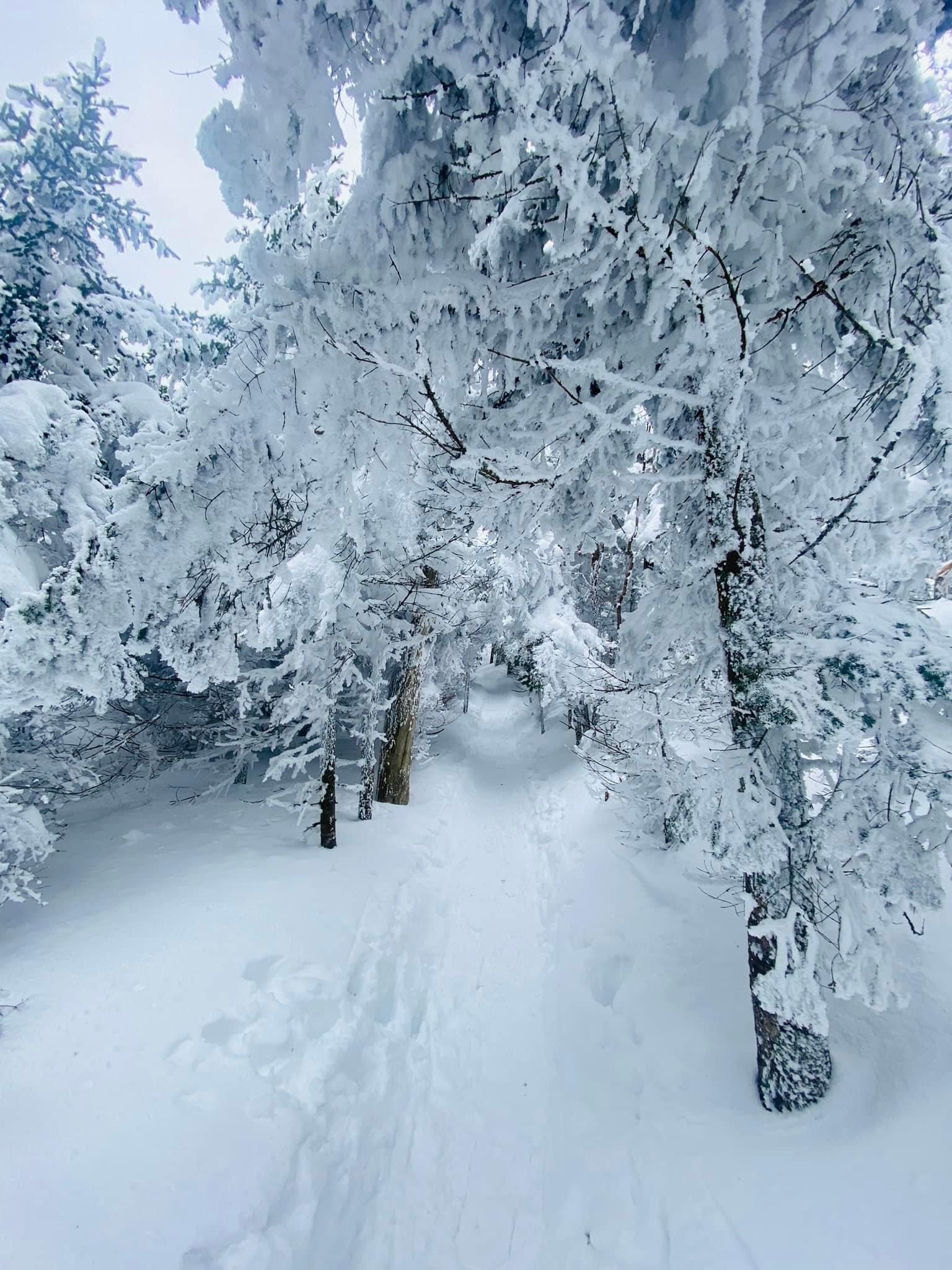 Winter Hike at Mt Flume & Mt Liberty