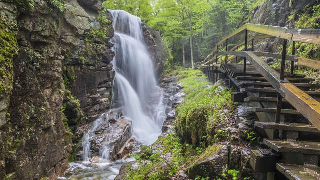 Flume Gorge & Basin Cascade Hike